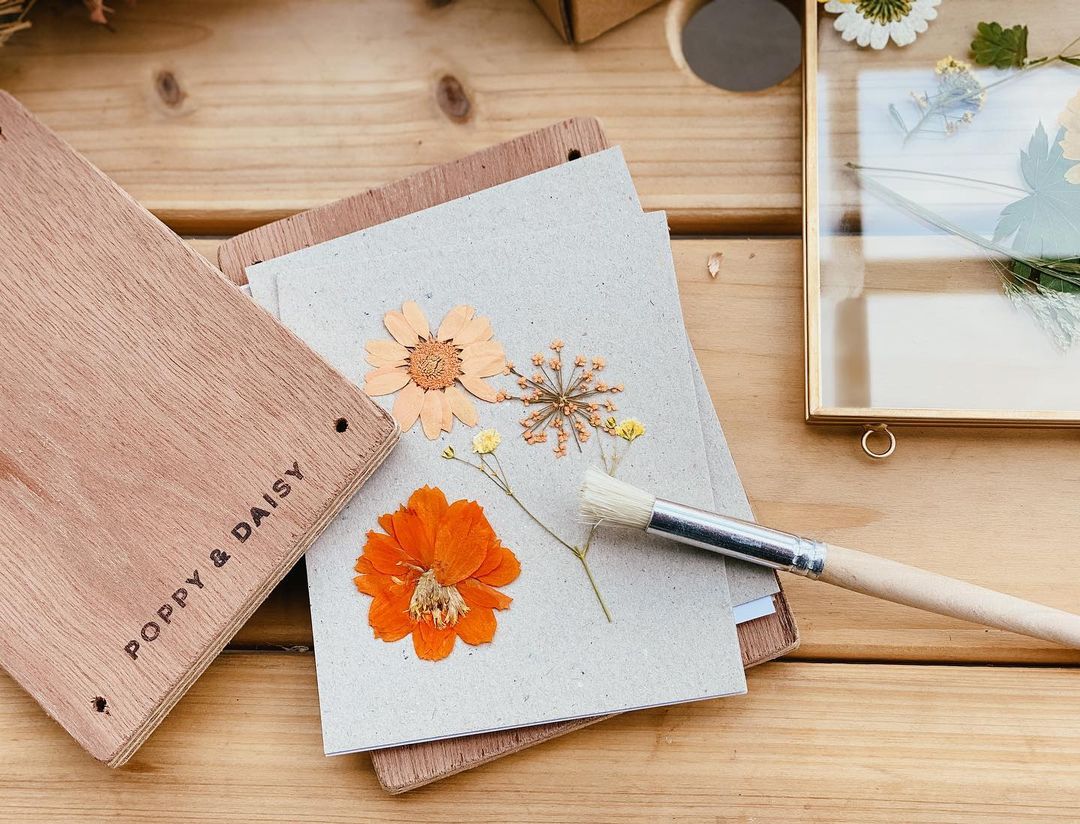 Poppy & Daisy Designs - Foresighted